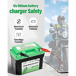 ENERSHARE 12V 2A Lithium Battery Charger, Smart 14.6V Chargers for 12.8V Lithium Iron Phosphate Rechargeable Batteries