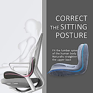 brizairid Seat Cushion for Office Chair with Lumbar Support Pillow for Long Sitting Hours on Office Home Chair, Pain Pressure Relief -Washable Cover