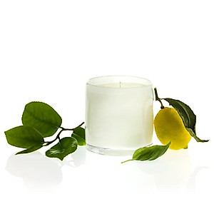 Alixx Candle Heure du Thé / White Glass (Medium 15oz)