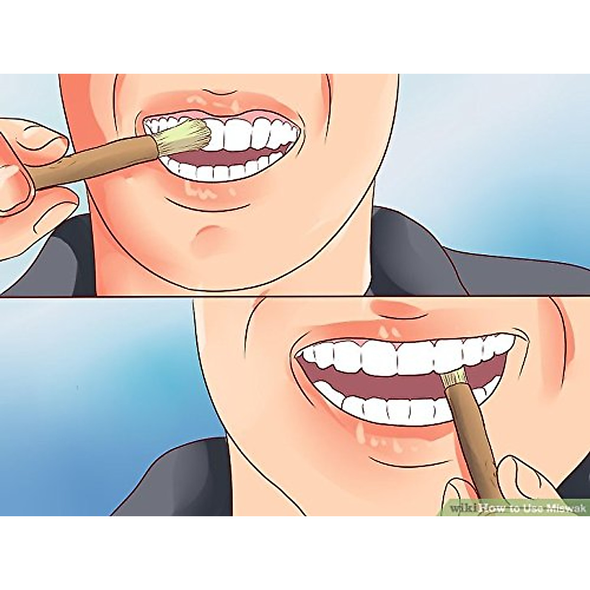 10 x Al Falah Miswak Traditional Natural Manual Toothbrush Sewak Vacummed & Packed