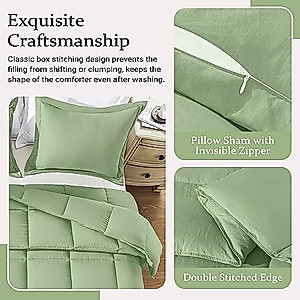 Wellsin Sage Green Comforter Set - Twin/Twin XL (66"x92") - 2 PCS All Season Soft Down Alternative Comforter & Pillow Sham for Girls/Boys/Adults