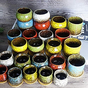 ARTKETTY Succulent Pots, 7.9" Rectangle Succulent Planters with Drainage Tray, Shallow Planters for Indoor Plants Ceramic Cactus Pots Bonsai Flower Plant Container for Home Windowsill Decor