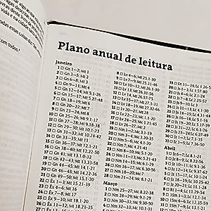 Bíblia Sagrada Nova Versão Transformadora: Para anotações e esboços - Multicores [hardcover] Vários Autores