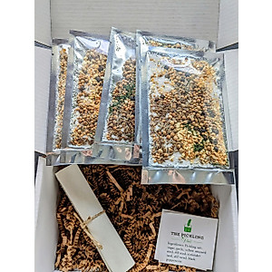 D.I.Y Pickle Kit Refills | 5 Dill & Garlic Pickle Spice Packets | The Pickling Poet