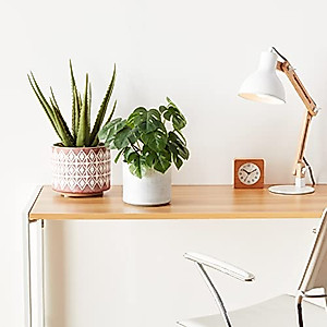 Amazon Basics Artificial Monstera Plant with Plastic Nursery Pot, 13-Inch