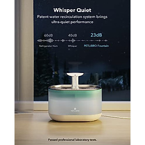 PETLIBRO Upgraded Cat Water Fountain Stainless Steel, Ultra Quiet, 71fl oz/2.1L Automatic Pet Water Fountain, Two Flow Modes, BPA-Free Capsule Metal Healthy Dog Water Dispenser with 4 Large Filters