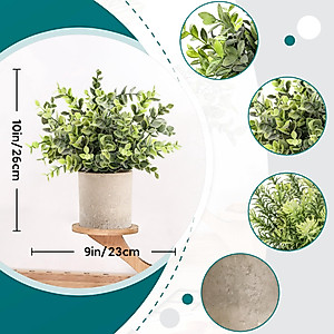 Der Rose 3 Pack Mini Potted Fake Plants Artificial Plastic Eucalyptus Plants for Home Office Desk Farmhouse Room Decor
