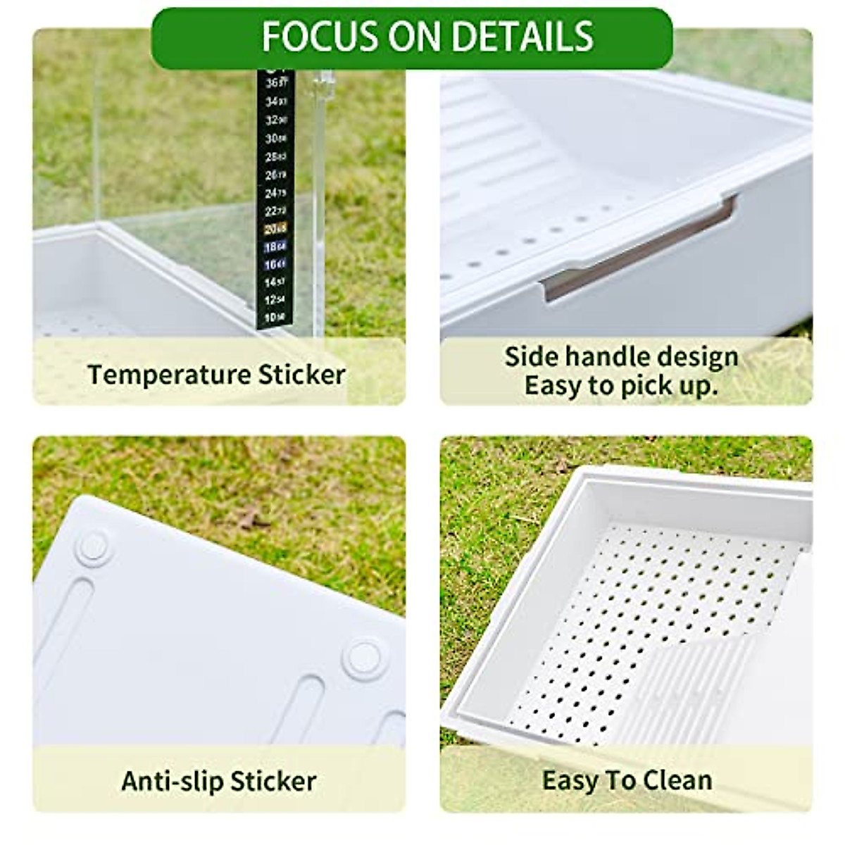 BETAZOOER Turtle Tank with Adjustable Water Pump Filter, Full View Visually Tortoise Aquarium Habitat, Easy Changing Water and Clean for Small Amphibious Creatures Reptiles (15.7×11.8×10Inch)