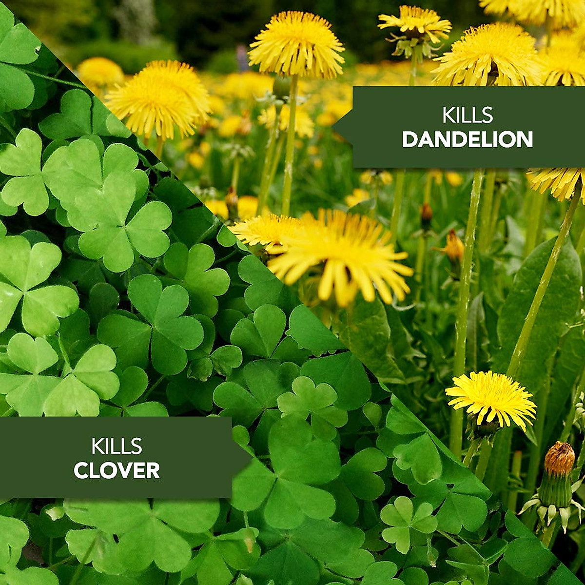 BioAdvanced 704080A Ready-to-Spray Rts Crabgras/Weed Killer, 32 oz