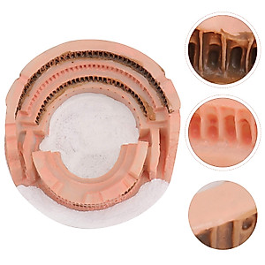 WINOMO 1pc Colosseum Resin Crafts Mini Decor Miniture Decoration Miniature Decoration Sand Table Ornament Miniature Scene Decor Dining Table Bonsai Sand Set Decorate Model