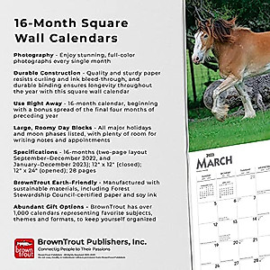 Clydesdales | 2023 12 x 24 Inch Monthly Square Wall Calendar | BrownTrout | Animals Horses