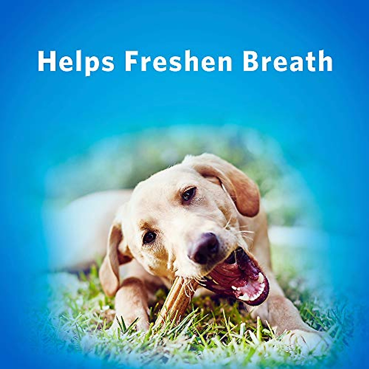 Purina Dentallife Daily Oral Care Dog Treats Large Chews - 7 Ct