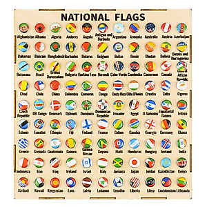 HYPERI 193 Push Pins Country Flag Pins Thumb Tacks, Decorative Drawing Pins for Bulletin Board, Pinboard, Map, Office, Map Pins for Travel Map, Travel Gifts for New Year, Valentines Day Gifts for Him