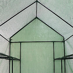 BBBuy 2-Tier Mini Greenhouse 8 Shelves Garden Plant Flower House Grow Tent Indoor Outdoor with PE Cover and Roll-Up Zipper Door Greenhouse, Grow Plant Herbs Flowers Warm House