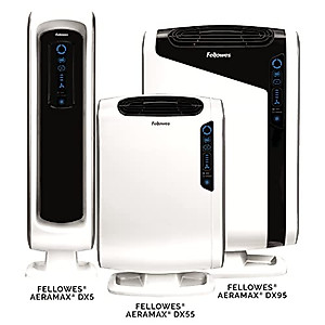 Fellowes AeraMax 290/300/DX95 Purifiers True HEPA Air Filter, 16.3" x 12.6" x 1.2", White, 9287201