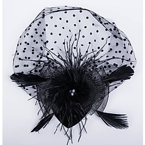 Cizoe Fascinator Hair Clip Pillbox Hat Bowler Feather Flower Veil Wedding Party Hat Tea Hat(2-Black)