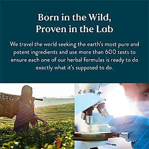 Nature's Sunshine Balanced B Complex, 120 Tablets | B Complex Vitamins to Support Digestion and Nervous System Health with Vegetarian Formula