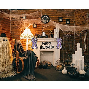 Hying 2 Rolls Halloween Ribbon for Wreath Bows Wrapping Gifts, Black Purple Spider Ribbons for Gift Wrapping Halloween Party Decoration DIY Crafts 2.5" X 10 Yards Spider Web Ghost Wired Edge Ribbon