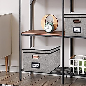 EOOUT File Organizer Box, 1pcs with Lid, Hanging File Folders, Letter Size, Foldable Document Organizer, Home Office, Gray