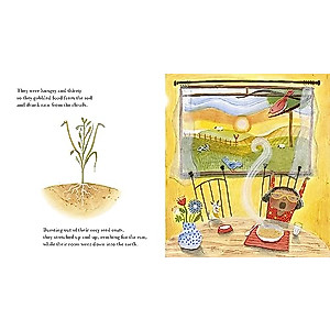 Sun in My Tummy: How the food we eat gives us energy from the sun