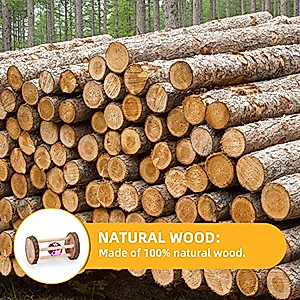 Beyoung 10 Pack Hamster Chew Toys, Small Animal Activity Toys Accessories Molar Teeth Care Natural Apple Wood Ladder Bell Roller for Dwarf Hamsters Rat Guinea Pigs Chinchillas Gerbils Bunnies