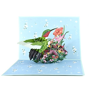 Hummingbird Pop Up Card, Birthday Card, Mother's Day Card, Summer Card, Thinking of You, Bird Lovers
