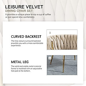 Nrizc Velvet Dining Chairs Set of 2, Woven Upholstered Dining Chairs with Gold Metal Legs, Modern Accent Chairs for Living Room, Dining Room, Kitchen