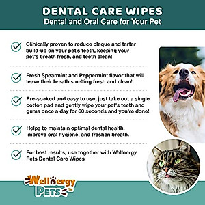 Wellnergy Pets Dental Wipes for Dogs and Cats - No Brush Formula; Improve Oral Hygiene and Health; Freshen Breath; Fresh Mint Flavor. 100 Wipes.