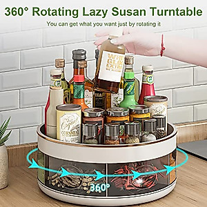 2 Tier Lazy Susan Organizer with 6 Divided Bins, 360 Degree Rotating Lazy Susan Turntable for Cabinet, Plastic Kitchen Spice Organizer Condiment Organizer, Perfume Organizer for Pantry Bathroom