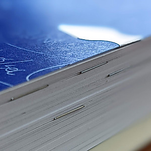 Book Darts: Thin Stainless Steel Mini Bookmarks - 50 Count