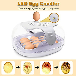 16 Eggs Incubators for Hatching Eggs with Temperature Control, Egg Candle Automatic Egg Turner Poultry Incubators for Hatching Chickens, Ducks, Quails