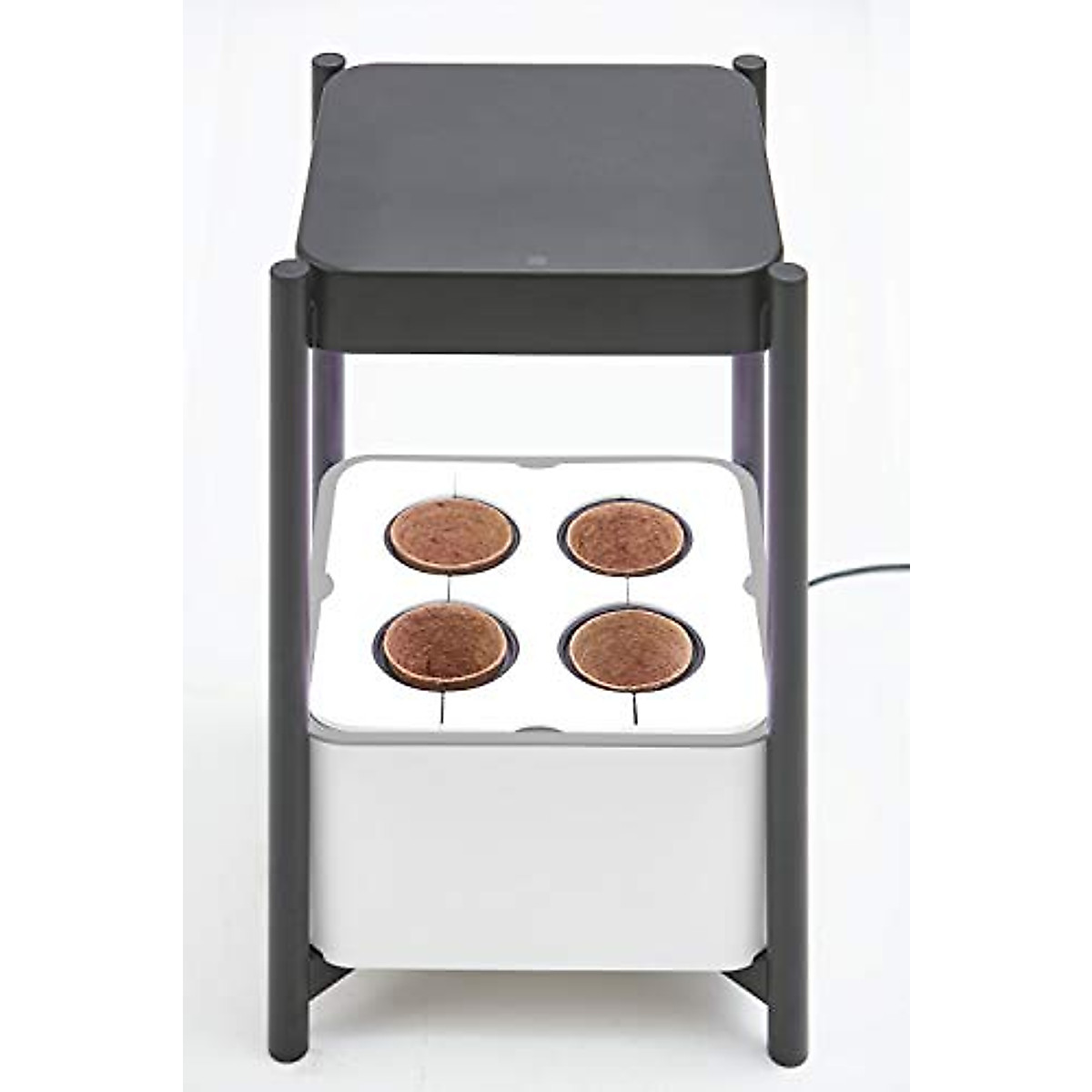 Miracle-Gro Twelve Transplanting Kit, Includes 4 Coir Liners and 4 Large Net Cups - Use Twelve Indoor Growing System - Designed for Growing Plants in Hydroponic Systems (Pack of 2)