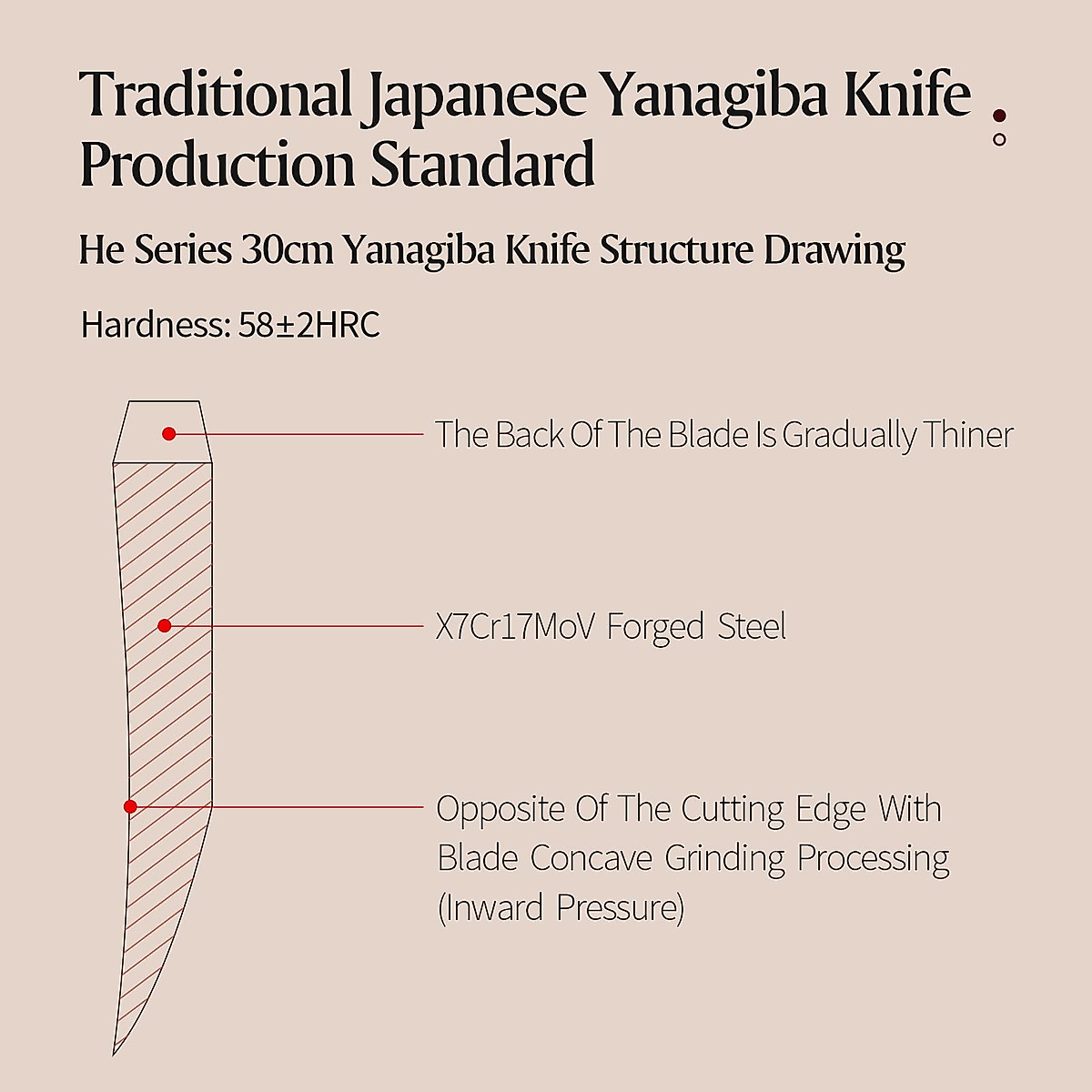 XINZUO 12 Inch Sashimi Knife X7Cr17MoV Forged Steel,Traditional Japanese Crafts Yanagiba Filleting Knife,Single-edged Blade,Professional Chef Sushi Knife-Ebony Wood Handle-Betula Wooden Sheath