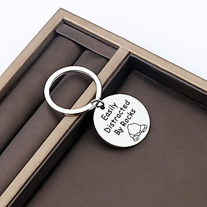 CENWA Geology Gift Geologist Jewelry Easily Distracted by Rocks Keychain Geology Professor Gift Geology Student Gift (Rocks Keychain)