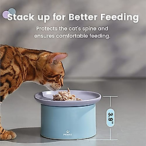 Pawaii Ceramic Cat Bowl, Combined Type Elevated Cat Bowl, Whisker Fatigue Cat Bowl, Dishwasher and Microwave Safe, One Elevated Cat Bowl and One Dish