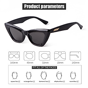 GIFIORE Retro Cat Eye Sunglasses For Women Vintage Narrow Pointy Cateye Sun Glasses (Black)