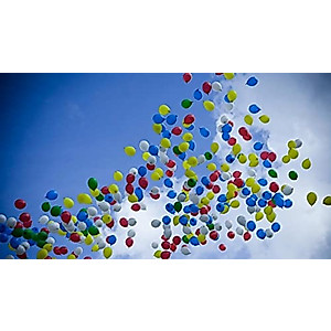 100pcs 12 Inch Colorful Premium Latex Wedding Party Birthday Balloon Lot (Brown)