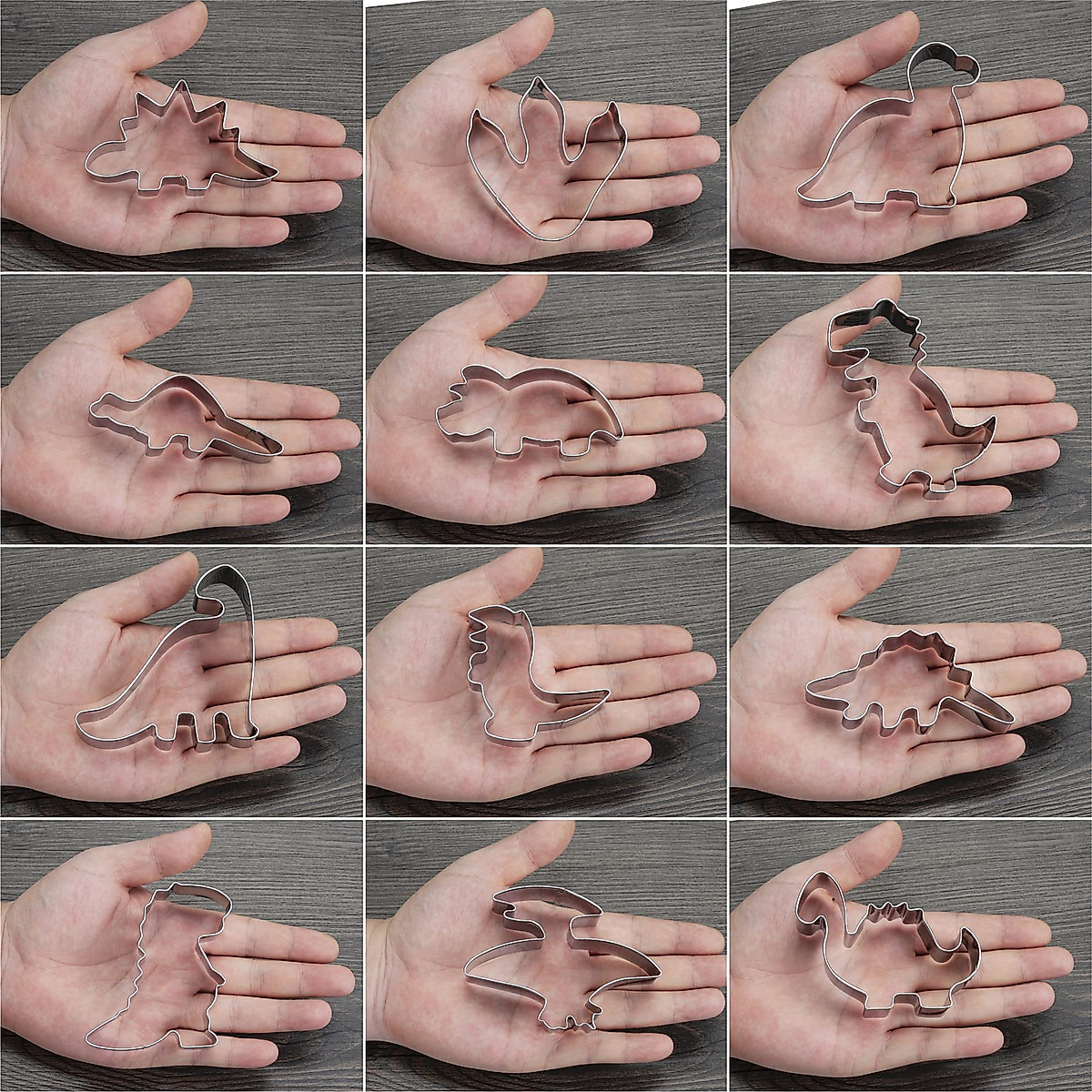 FACATH Dinosaur Cookie Cutters Set, 12 Piece Stainless Steel Shaped Cookie Candy Food Cutters Molds for DIY, Kitchen, Baking, Kids Dinosaur Theme Birthday Party