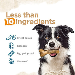 Natural Farm All-Natural Dog Dental Chew, Dog Teeth Cleaning Treats - Fresh Breath, Fight Plaque & Tartar - Canine Mess-Free Oral Care, Teeth Cleaning Chews for Dogs 15-25 Lbs (40 Counts)