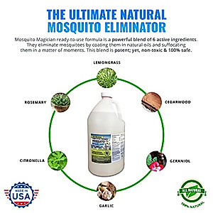 2 Gallons of Mosquito Magician Ready to USE Spray - Natural Mosquito and Insect Repellent for Outdoor Pest Control - Use in Any Sprayer