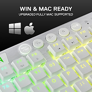 Redragon K621 Horus TKL Wireless RGB Mechanical Keyboard, 5.0 BT/2.4 Ghz/Wired Three Modes 80% Ultra-Thin Low Profile BT Keyboard w/Dedicated Media Control & Linear Red Switches, White