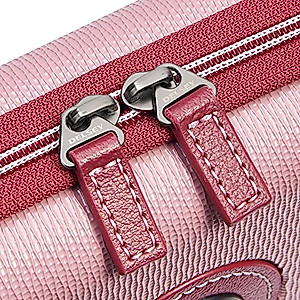 DELSEY Paris Chatelet 2.0 Clutch and Crosbody Bag, Pink, One Size