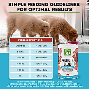 Only Natural Pet Probiotic Dog and Cat Supplement - Digestive & Gut Health Enzyme Formula, Puppy & Canine Digestive Chews, Best for Stomach Relief & Gas Aid - Soft Chews, 120 Count.