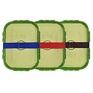 HisiLucky Bento Box Elastic Belt 12 Pcs Lunch Box Fixing Band Bento Box Band Replacement for Camping School Office (Multicolor), 13*2.5*0.5cm