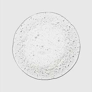 Paul Mitchell Baby Don’t Cry Shampoo, Kids Wash, Tear Free, For All Hair Types, 16.9 fl. oz.