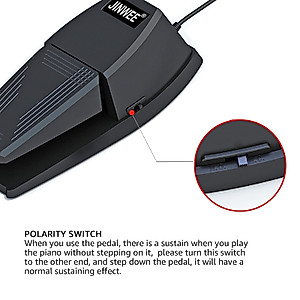 Sustain Pedal for Keyboard,Universal Sustain Pedal with Polarity Switch Compatible with Most Digital Pianos, Yamaha, Casio and MIDI Keyboards(Black)