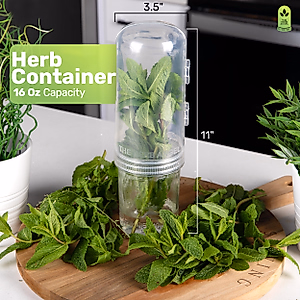 The Herb Angel Mason Jar Herb Lid - Fresh Herb Keeper - Herb Saver Pod for Cilantro, Parsley, Basil, Chives, Mint and More - Herb Storage Container for Refrigerator