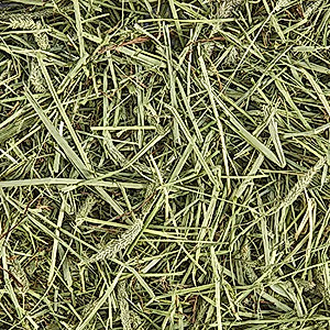 Kaytee All Natural Timothy Hay for Guinea Pigs, Rabbits & Other Small Animals, 1.5 Pound