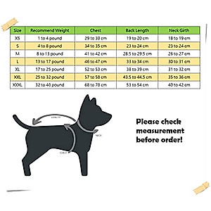 Petitebella Plain Checkered Hemmed Puppy Dog Shirt (Red, Medium)