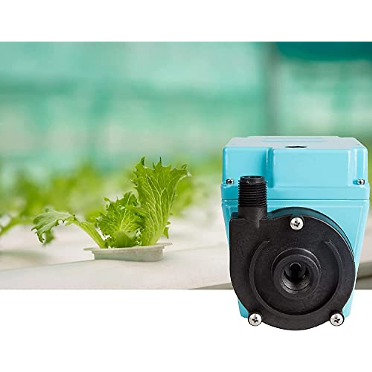 Little Giant 3E-12NR 115-Volt, 1/15 HP, 670 GPH Dual Purpose In-Line or Small Submersible, Oil-Filled Pump, 6-Ft. Cord, Blue, 503203